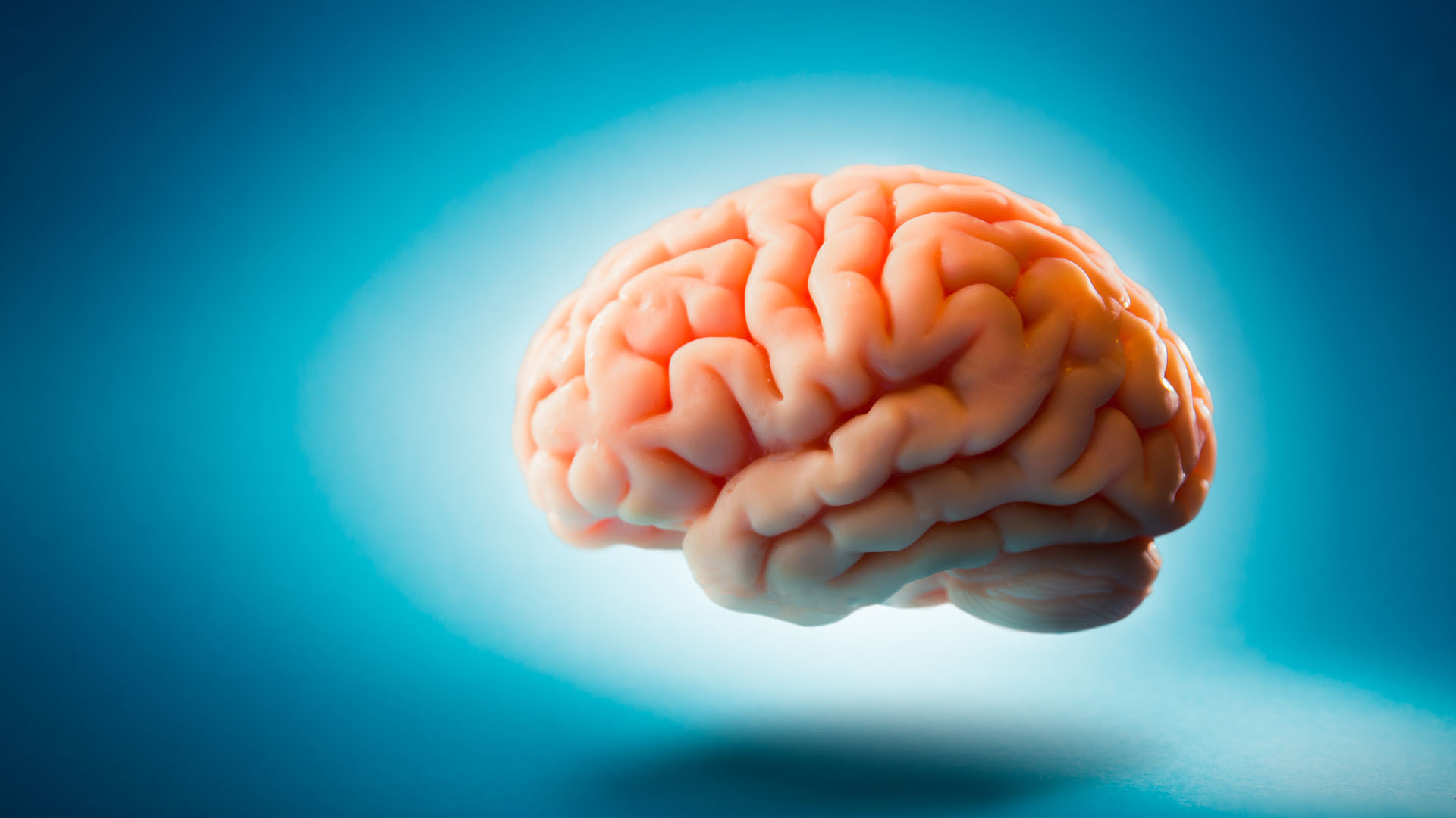 Bad Guy Brain: Personifying Struggles with Mental Health » Mike ...
